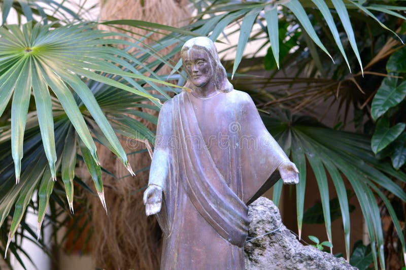 Jesus Under Old Man Palm Stock Photos - Free & Royalty-Free Stock ...