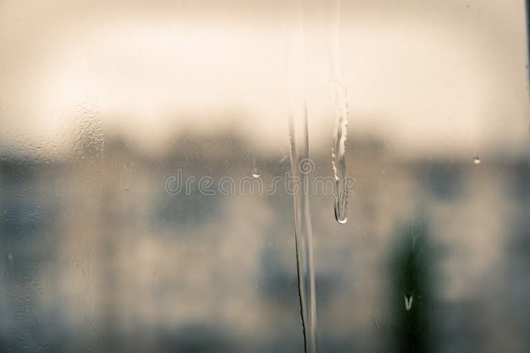 110 Window Pane Outline Stock Photos - Free & Royalty-Free Stock Photos ... 110 Window Pane Outline Stock Photos - Free & Royalty-Free Stock Photos ...