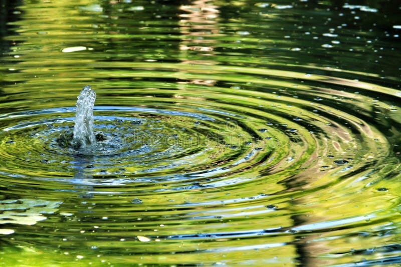 Jet of Water in a Pond Forming Waves Stock Photo - Image of tender ...