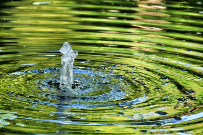 Jet of Water in a Pond Forming Waves Stock Photo - Image of pretty ...