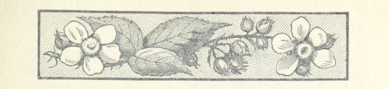 British Library Digitised Image From Page 185 Of "Jethou; Or, Crusoe ...