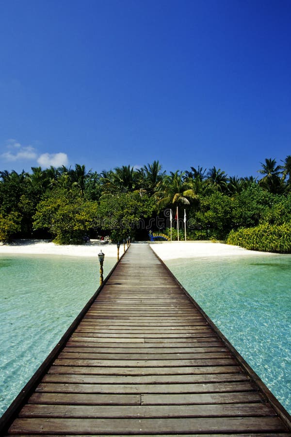 Jetty stock photo. Image of jetty, islands, coral, vacation - 31111700