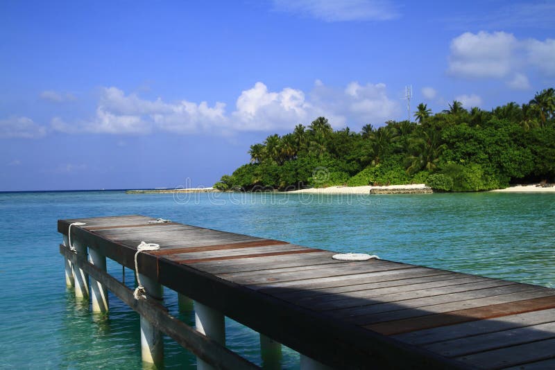 Jetty stock photo. Image of ocean, beautiful, beach, palm - 32899212