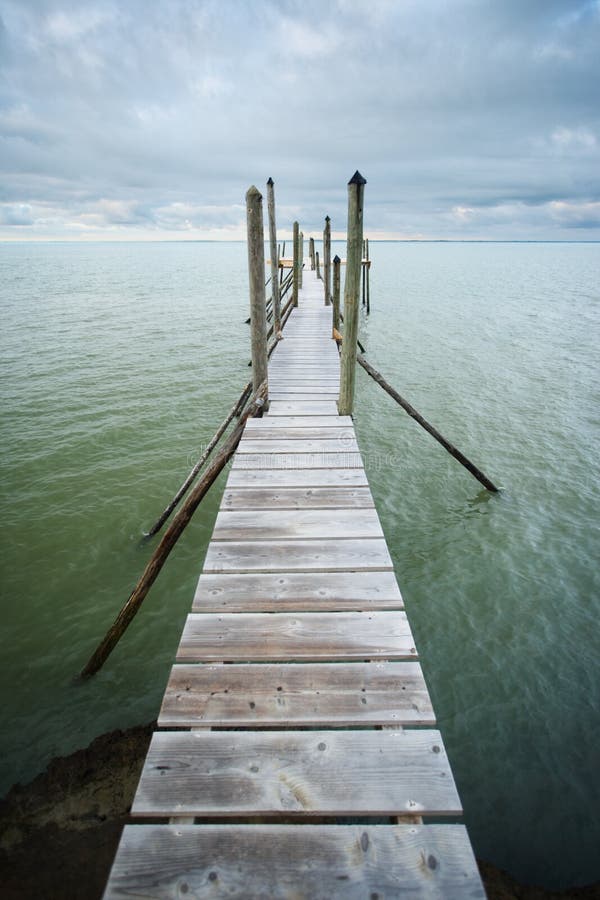 Pelicans at sunrise stock image. Image of bird, natural - 7556367