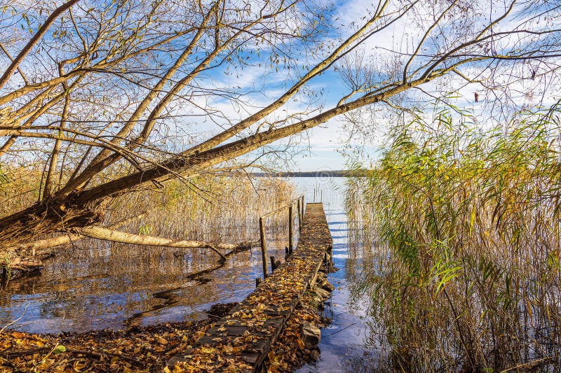 Jetty and Tree on Lake Plau in the Town of Plau am See, Germany Stock ...