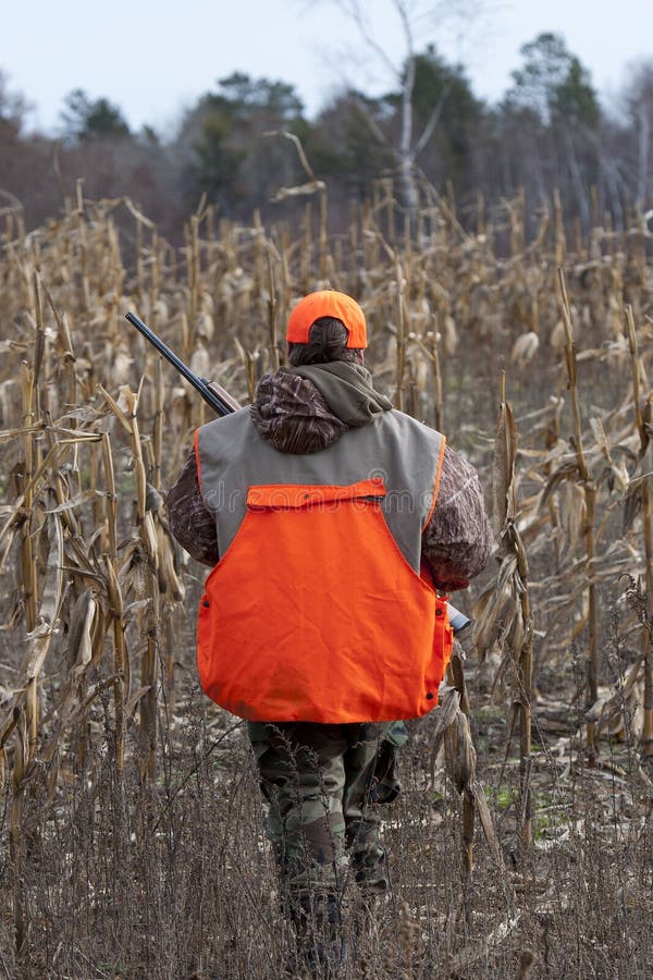 Une Jeune De Chasseur Chasse D'oiseau Photo stock - Image du faisan ...