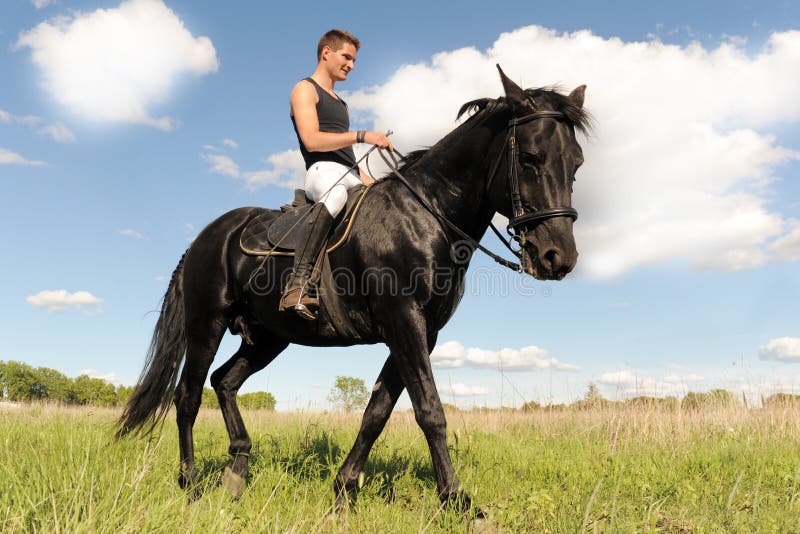 Jeune homme et cheval photo stock. Image du masculin - 24662484