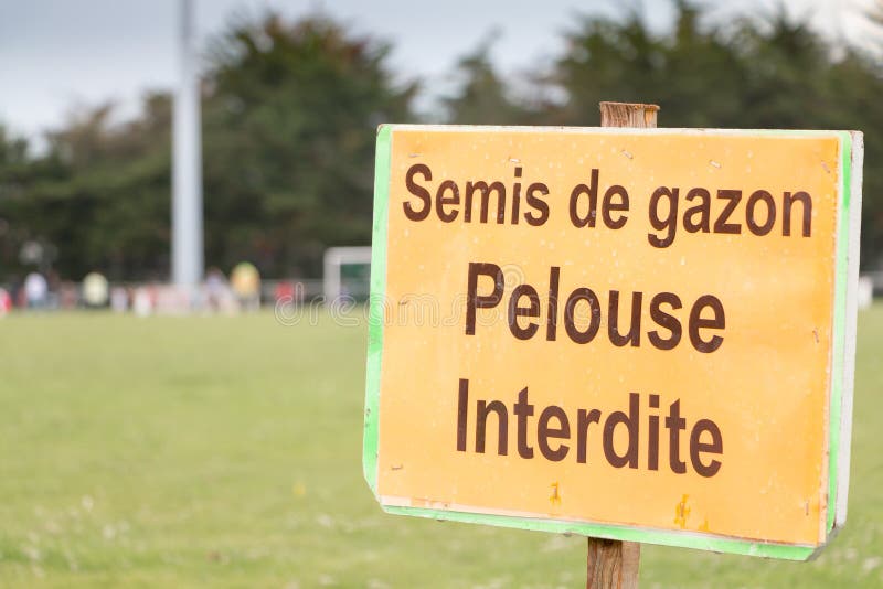 Jeunes Plantes D'herbe De Signe - Pelouse Interdite Photo stock - Image ...