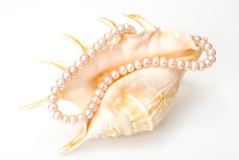 Jewel of pink pearls. stock image. Image of abstract - 83268107