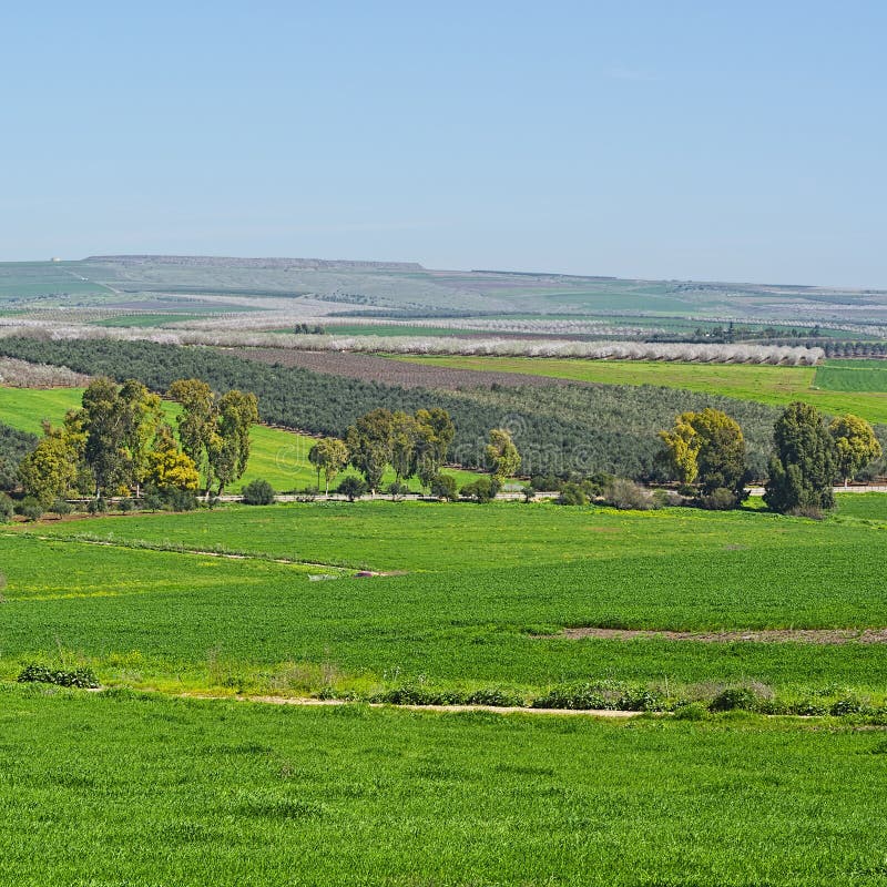 Jezreel Valley in Israel stock photo. Image of farming - 78511792