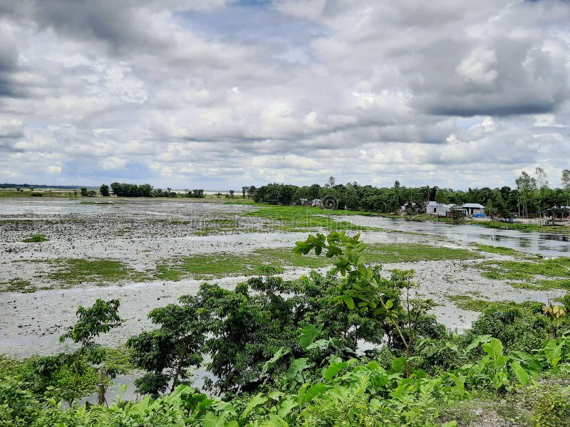 A Jhil,trees,cloudy Sky,the Touch of Sky with the Land,scenic Beauty ...