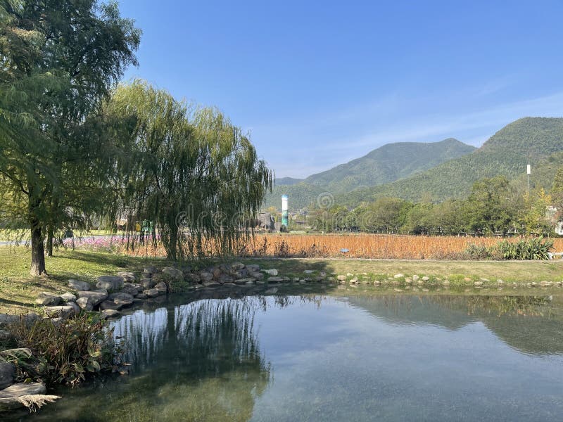 Jiangnan Watertown, China stock image. Image of flower - 261979187