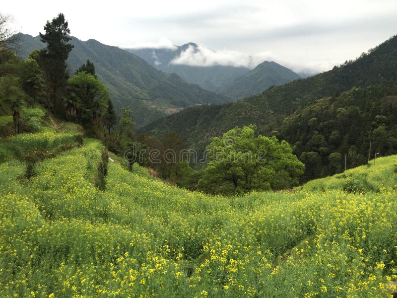 Jiangxi Mountains stock photo. Image of landscape, scene - 61540588