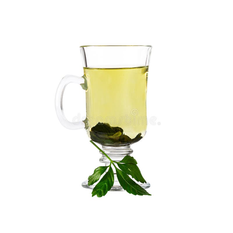 Jiaogulan Miracle Grass Chinese Herb Tea. Image Included Clipping Path ...