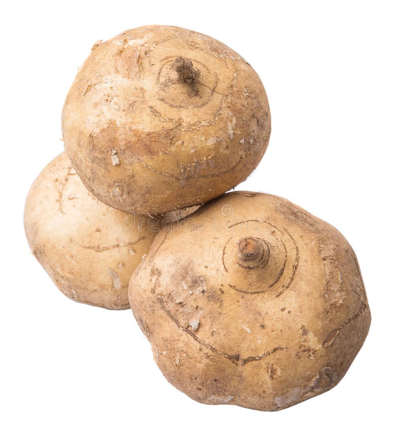 Jicama o ñame mexicano IV imagen de archivo. Imagen de crudo - 52998841