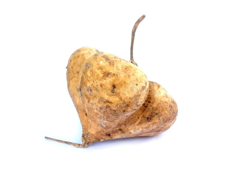 Jicama Fruit, Turnip Mexican Food In Mexico Jicamas Lemon Vegetable ...