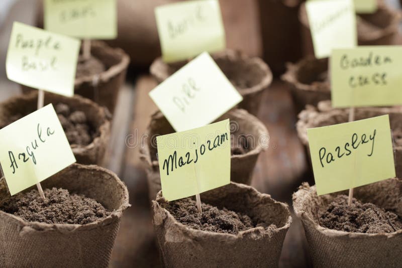 Jiffy pots with labels stock photo. Image of labels, container - 22062970