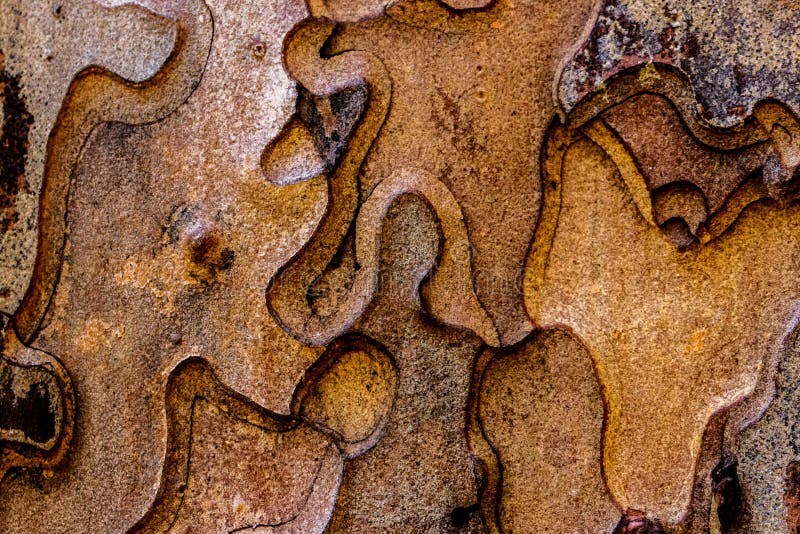 Jigsaw Tree Bark Background Stock Photo - Image of color, detail: 70759324