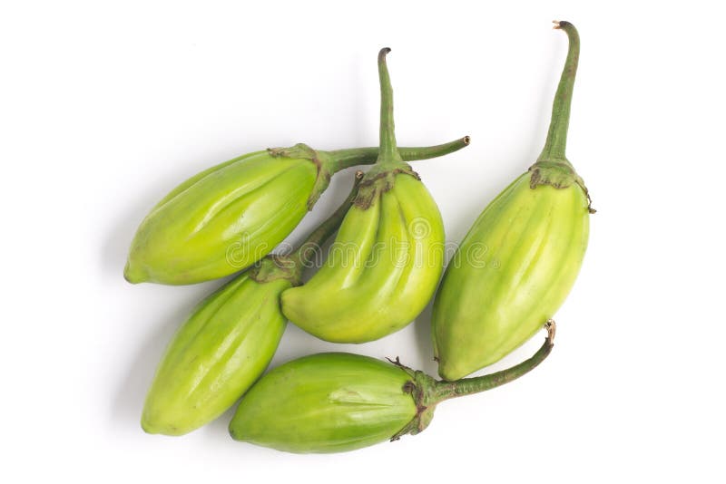 Afrikanische Aubergine Brasilianer Jilo Stockfoto - Bild von ...