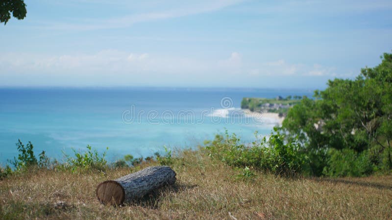 A Log in the Hill with Blurry Ocean View Stock Image - Image of 12th ...