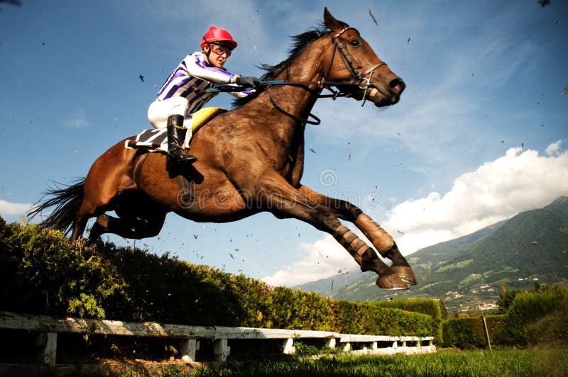 Jinete en caballo foto editorial. Imagen de disciplina - 14594416