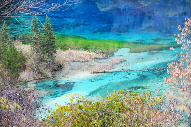 Colorful Lake in Jiuzhaigou Stock Image - Image of clarity, environment ...
