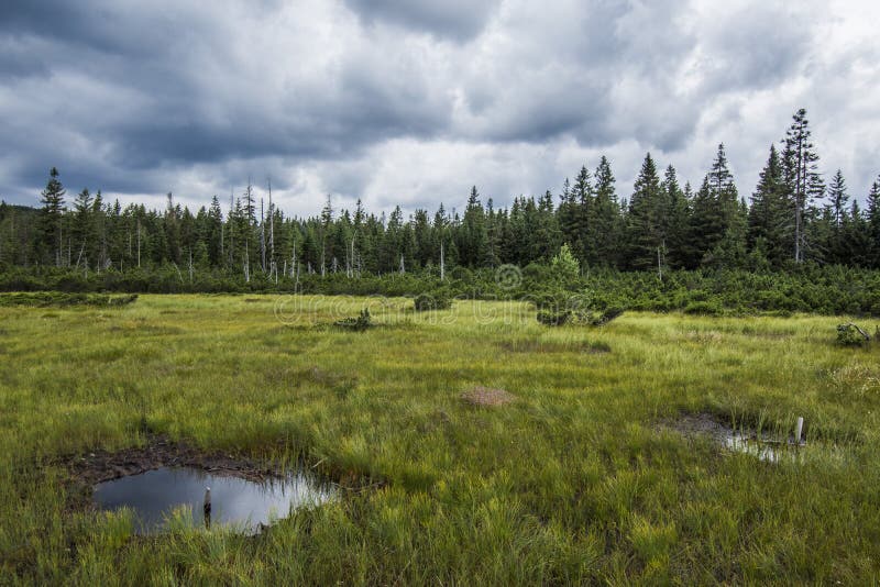Jizera Mountain in Czech Republic during Summer Stock Photo - Image of ...