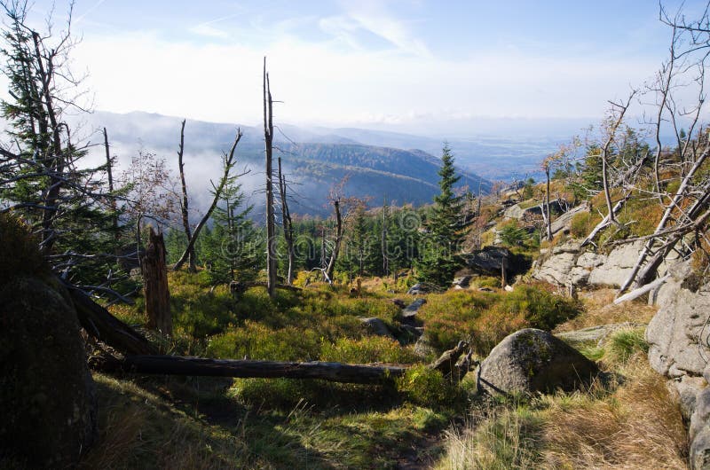 Stream in Jizera Mountains, Czech Republic Stock Photo - Image of ...