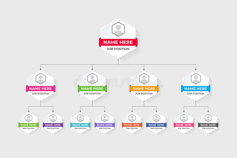 Job Position Classification Graph Chart Design with Colorful Hexagon ...