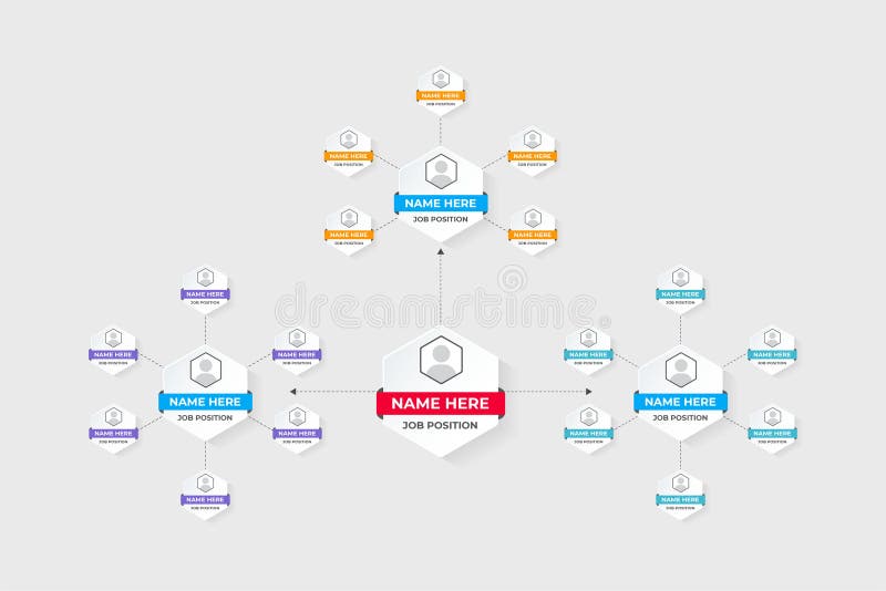 Job Position and Office Management Chart Infographic Vector with ...