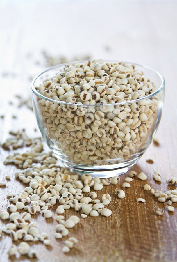 Job s Tears stock photo. Image of medicinal, tears, natural - 27695544