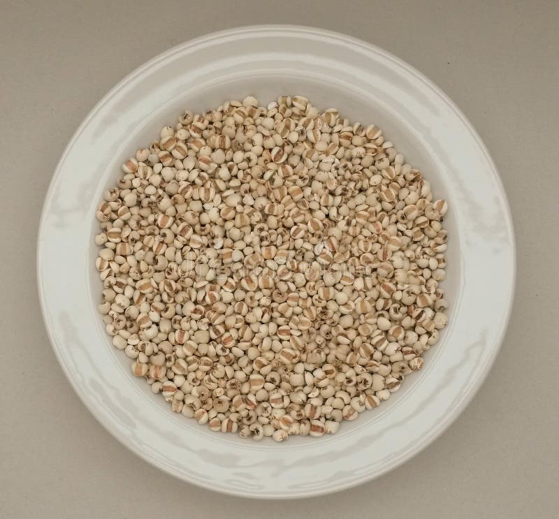 Job s tears stock image. Image of organic, adlai, minerals - 65500361