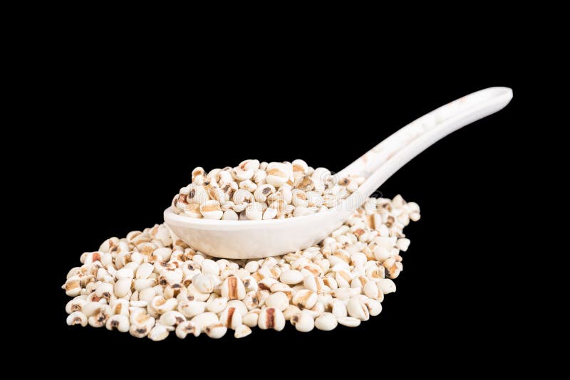 Job s tears seed stock photo. Image of myotonin, strength - 56972206