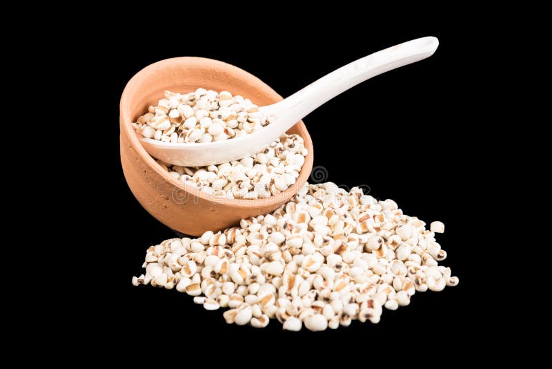 Job s tears seed stock image. Image of barley, mildura - 56972925