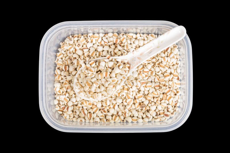 Job s tears seed stock photo. Image of myotonin, strength - 56972206