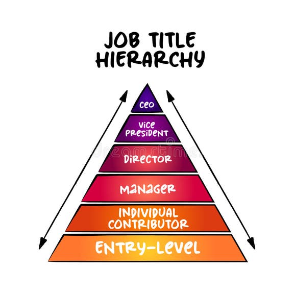 Job Title Hierarchy with 6 Major Tiers, Pyramid Concept for ...