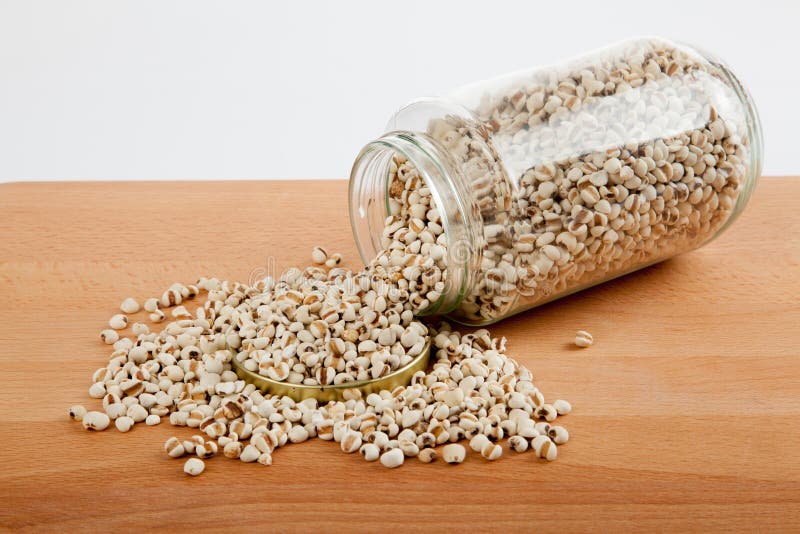 Jobs Tears in a Jar on Wood Table Stock Photo - Image of agriculture ...