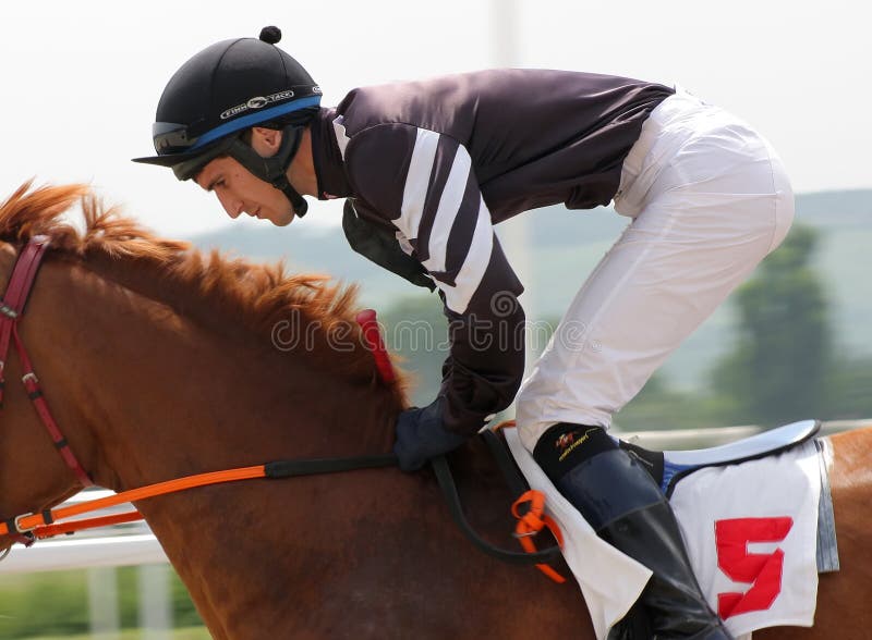 Horse and Trap Race stock image. Image of sport, race, wheel - 151943