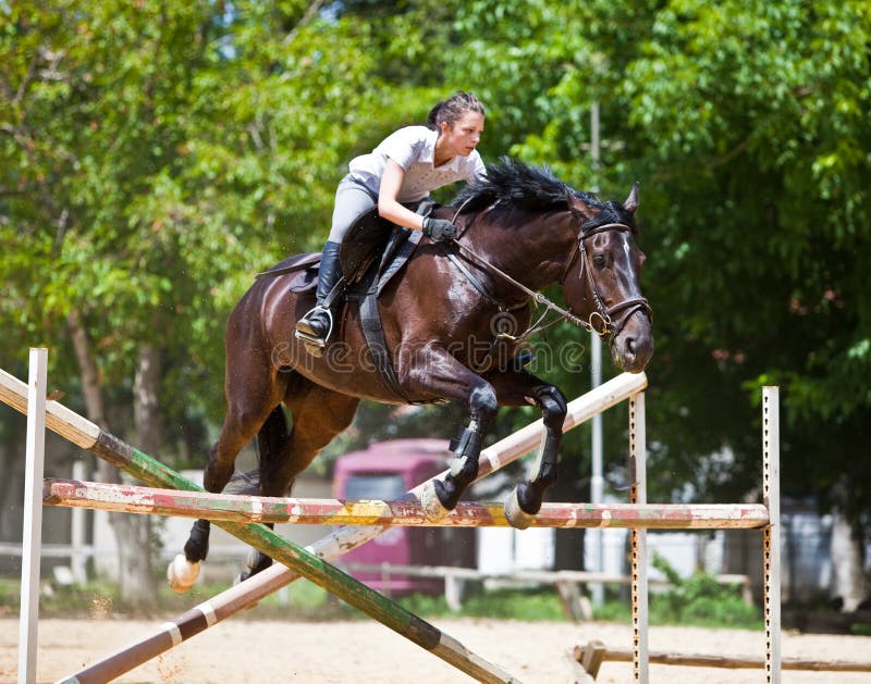 Jockey Met Paard Het Springen Stock Afbeelding - Image of dier, actief ...