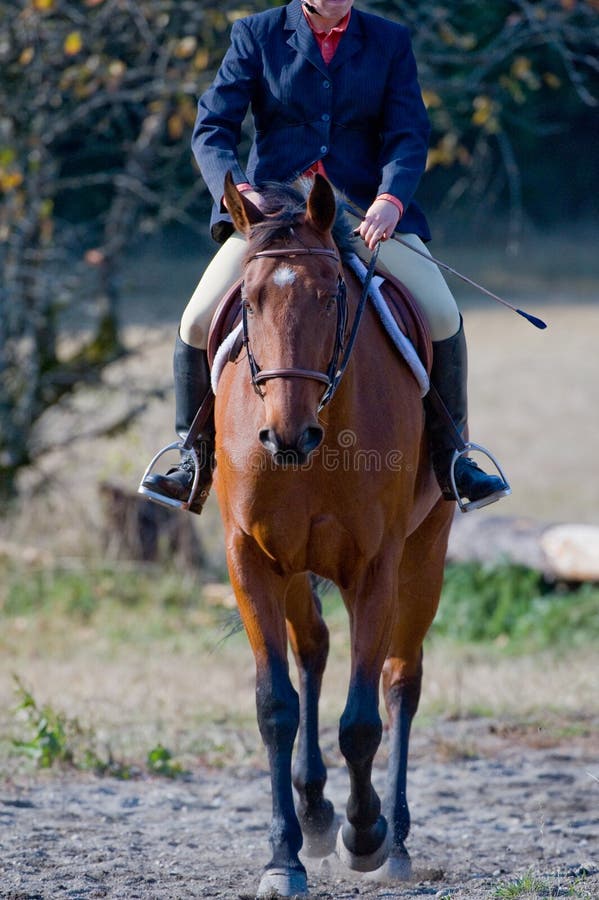 Jockey Riding Horse on Track Stock Image - Image of horse, single: 7518321