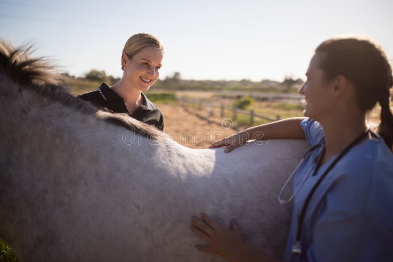 Jockey and Vet Talking while Standing by Horse Editorial Photo - Image ...