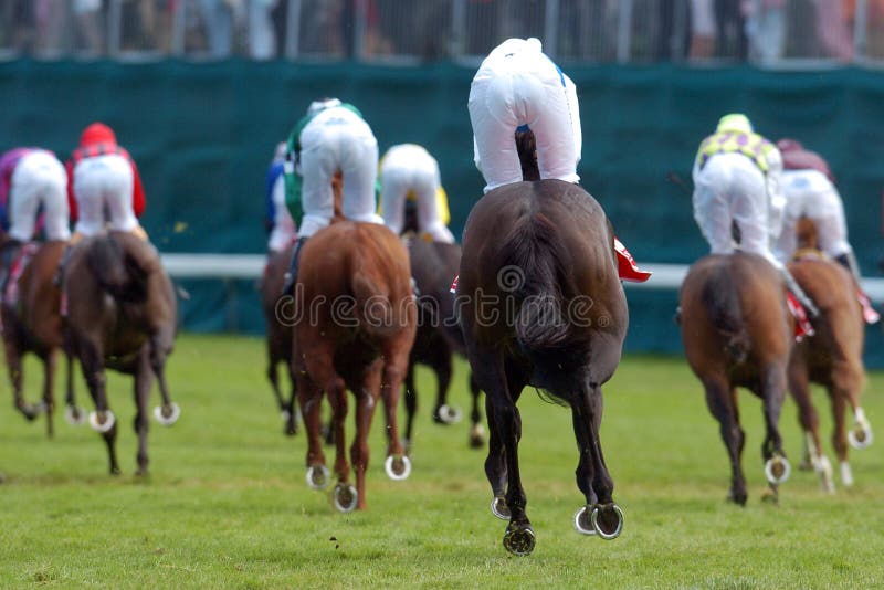 Jockeys on horses 01 stock image. Image of fast, hoves - 1753049