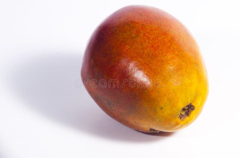 Jocotes De Guatemala. América Central. Imagen de archivo - Imagen de ...