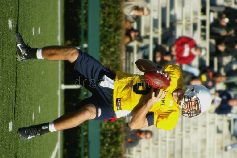 Joe Flacco Wallpaper Stock Photos - Free & Royalty-Free Stock Photos ...