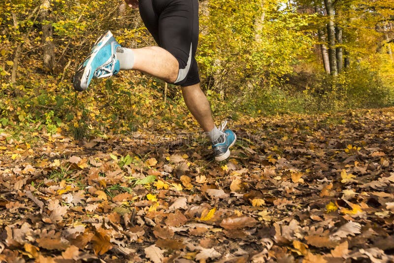 Jogger in autumn stock image. Image of running, green - 49163737