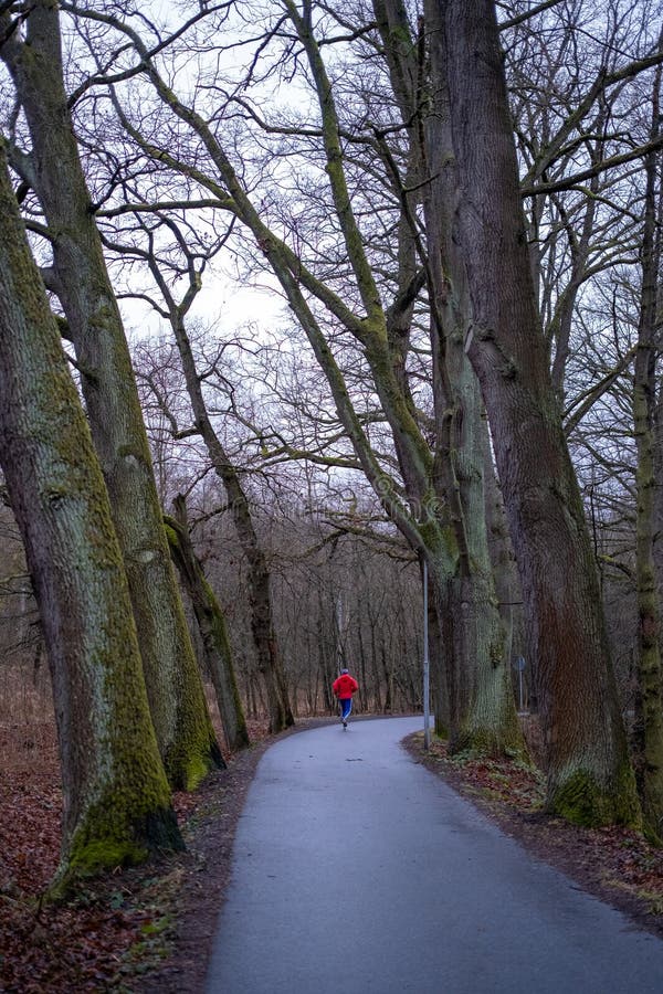 Jogger in Red Jacket Running on Forest Path Stock Photo - Image of ...