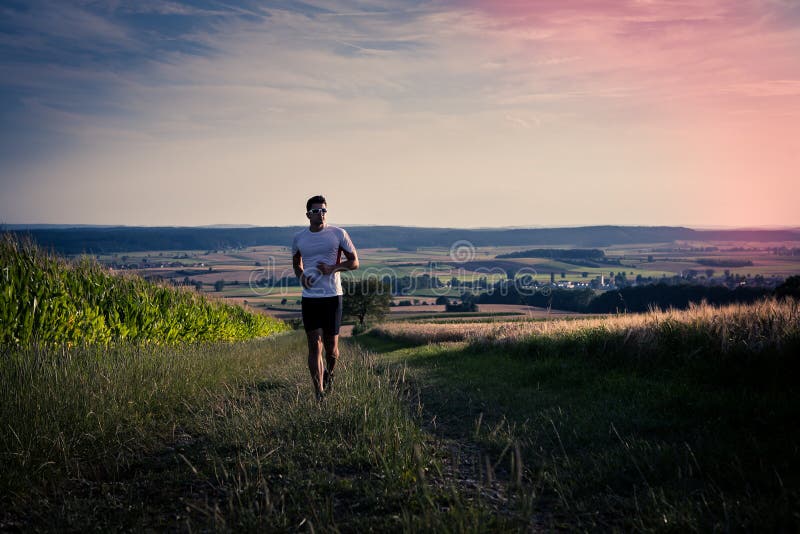 Jogging through the fields stock image. Image of lifestyles - 30553871