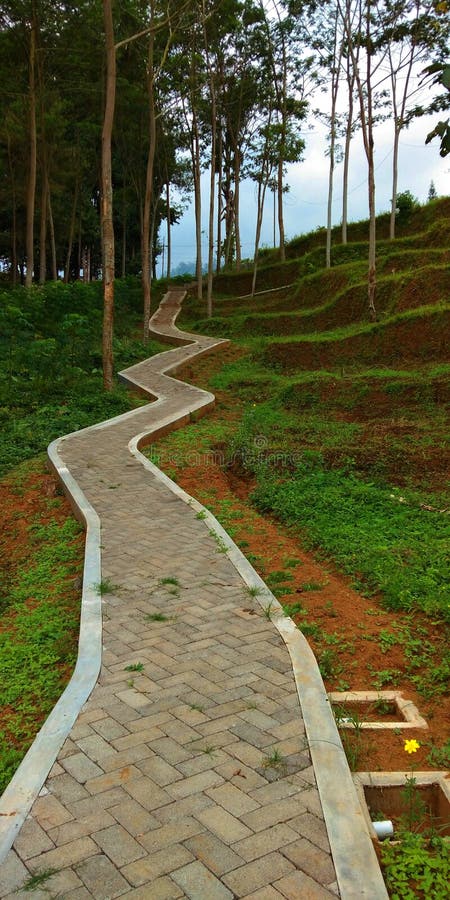 Jogging Path in Krucil Village Stock Photo - Image of green, soil ...