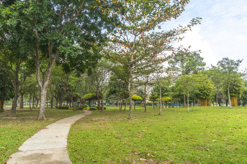 Jogging track stock photo. Image of walkway, green, morning - 39414252