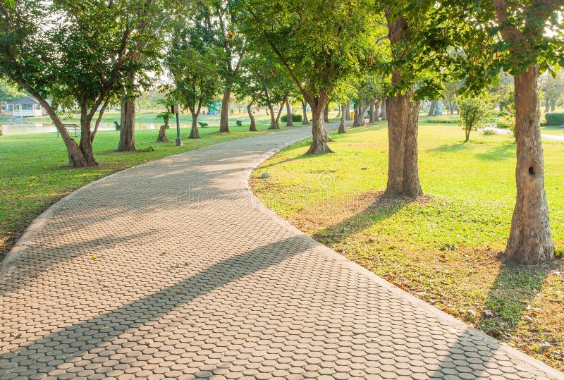 Jogging Track at Green Garden Stock Photo - Image of garden, autumn ...